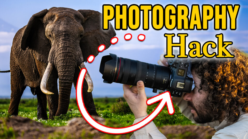 Tips for Taking Photos | Photography Tip | How To for Photographers